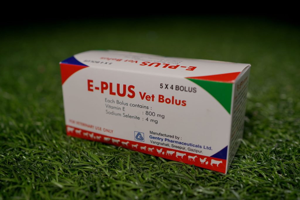 E Plus (Bolus) | Gentry Pharmaceuticals Ltd