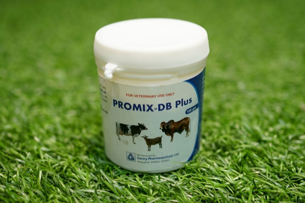 Promix DB Plus (Oral Powder) | Gentry Pharmaceuticals Ltd